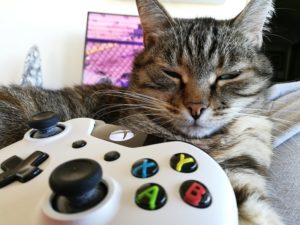 RetroPie and Xbox One S Wireless Controller (Bluetooth): How to get it ...